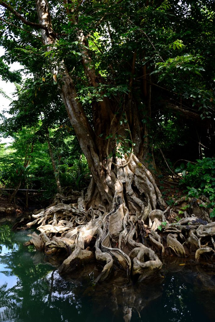 Kalinagos – Reportages tourisme