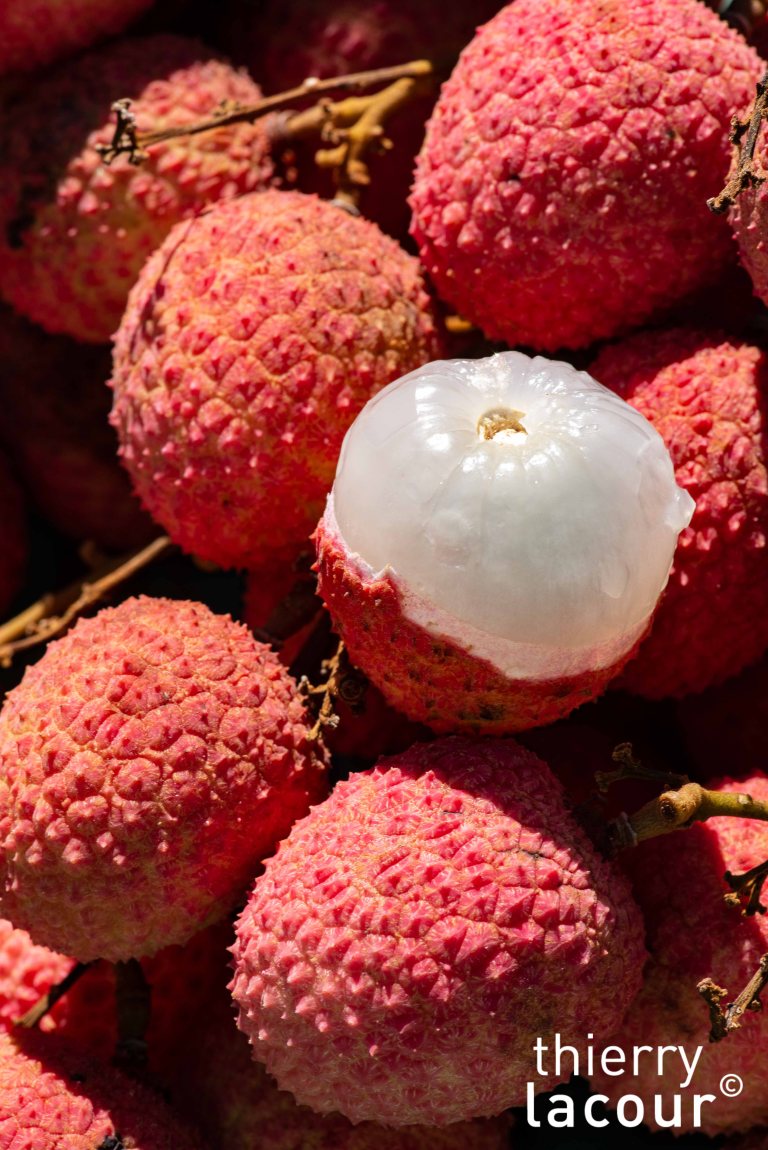 Le letchi de La Réunion – Reportages tourisme